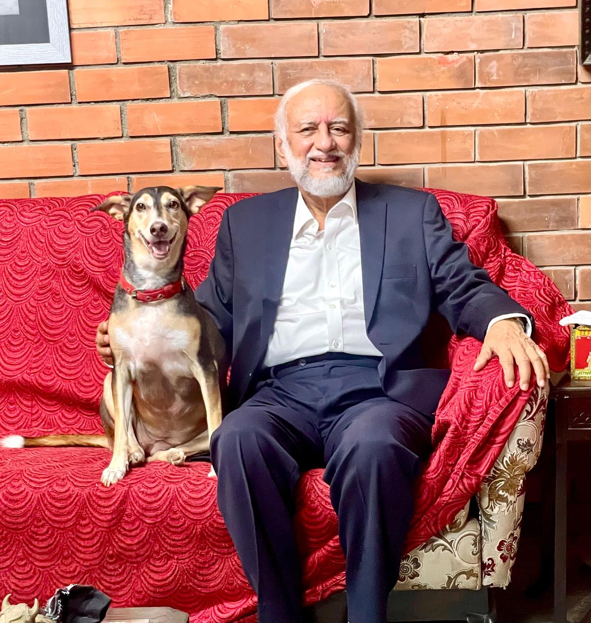 Fixing India’s street dog problem | It’s not as simple as ABC - The Hindu